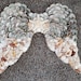 Seashell Angel Wings - Abalone & Seashell Angel Wings - Coastal Decor ...