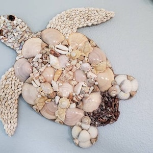 Seashell Turtle Shell Turtle Seashell Wall Decor Beach | Etsy