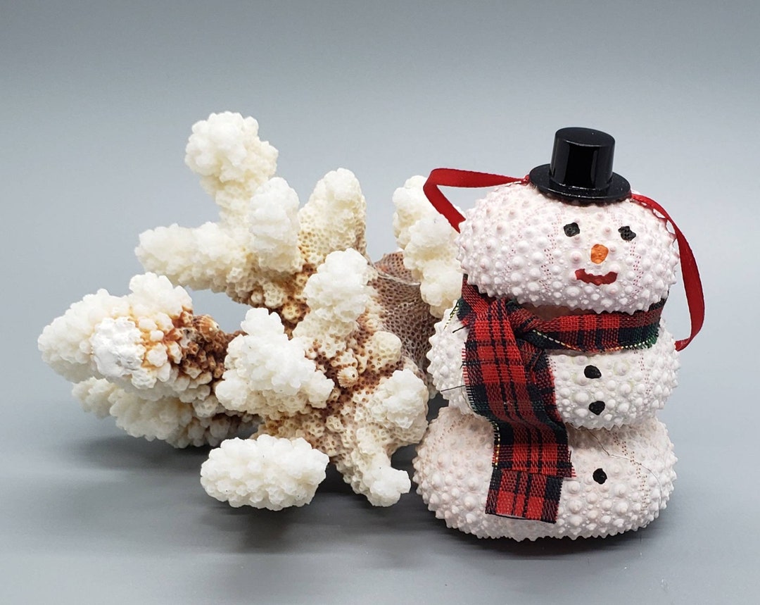 Sea Urchin Snowman Sea Urchin Snowman Ornament Beach Decor Christmas ...