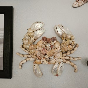 Seashell Crab - Coastal Decor - Beach Decor - Nautical Decor - Etsy
