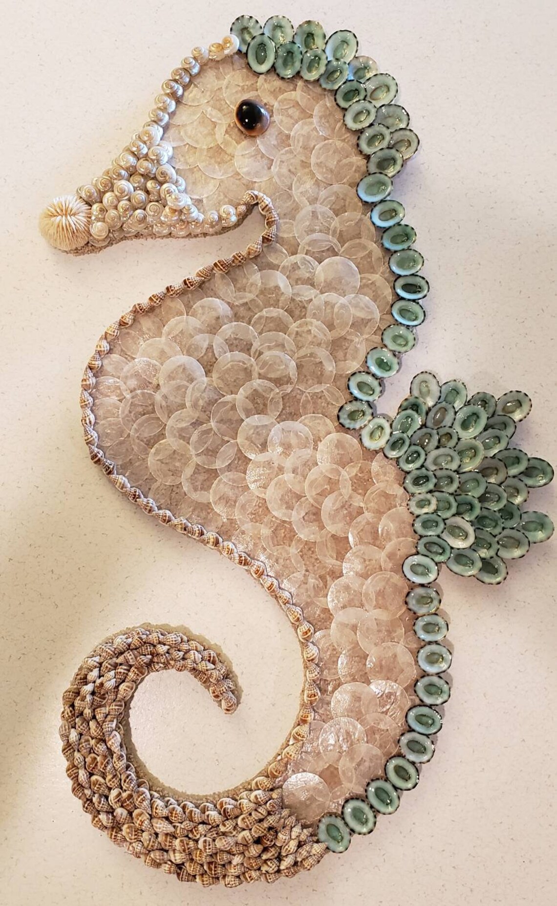 Seashell Seahorse Seahorse Shell Art Beach Decor - Etsy