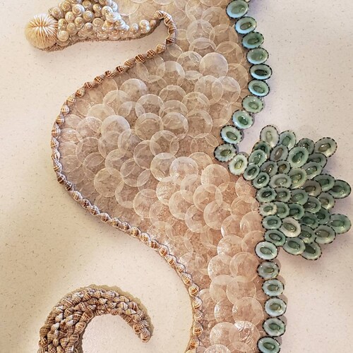 Seashell Seahorse Seahorse Shell Art Beach Decor - Etsy