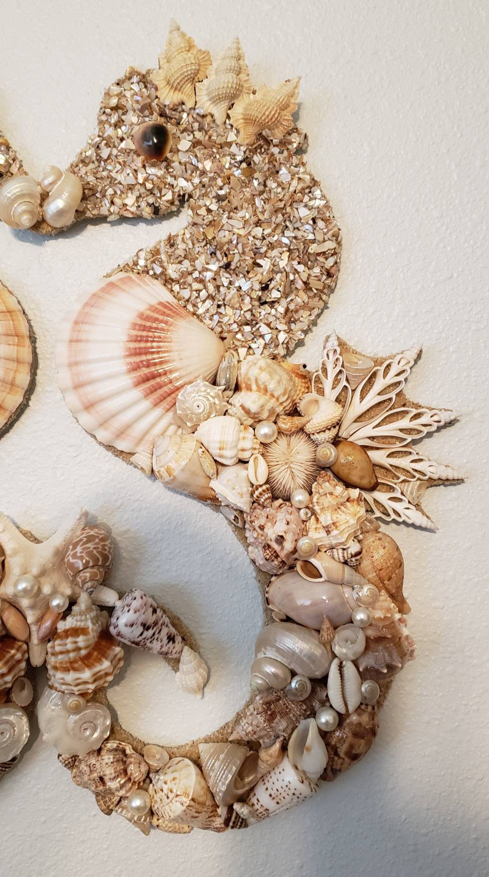 Seashell Seahorse Seahorse Coastal Art Kissing Seashell - Etsy