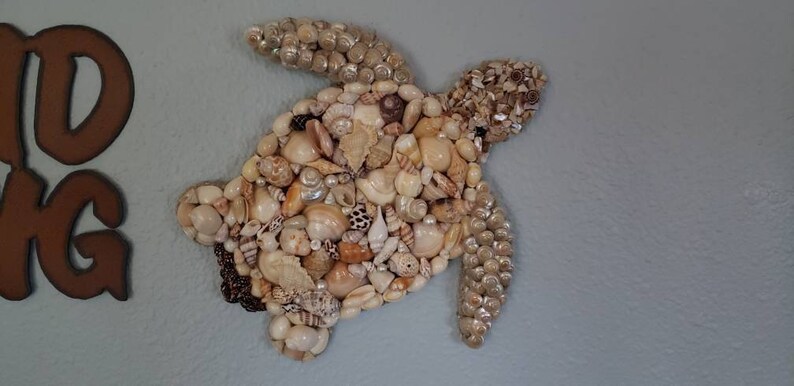 Seashell Turtle Shell Turtle Seashell Wall Decor Beach | Etsy