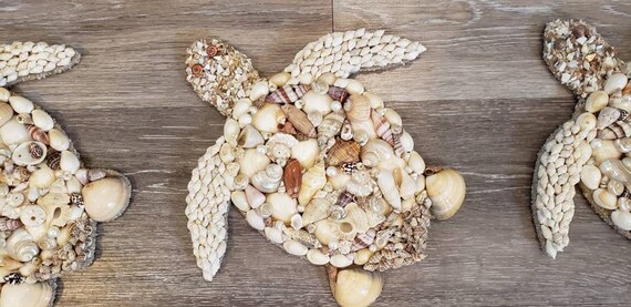 Seashell Turtle Shell Turtle Seashell Wall Decor Beach | Etsy