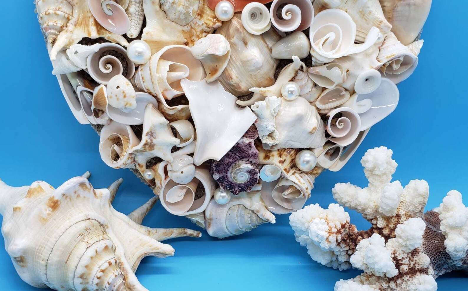 Seashell Heart Shell Heart Heart Wall Decor Seashell - Etsy