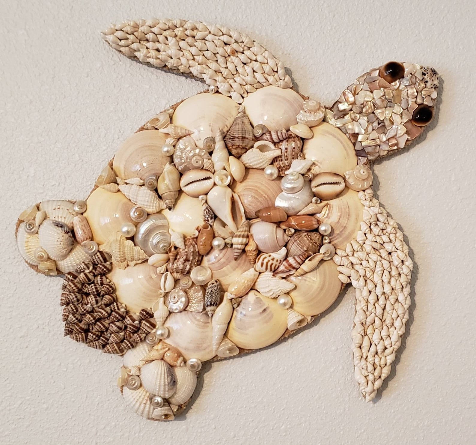 Seashell Turtle Shell Turtle Seashell Wall Decor Beach - Etsy