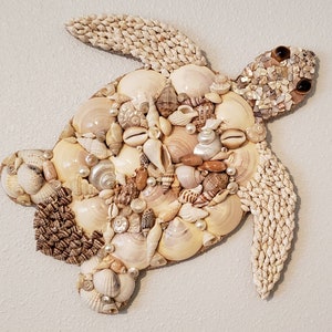 Seashell Turtle Shell Turtle Seashell Wall Decor Beach - Etsy