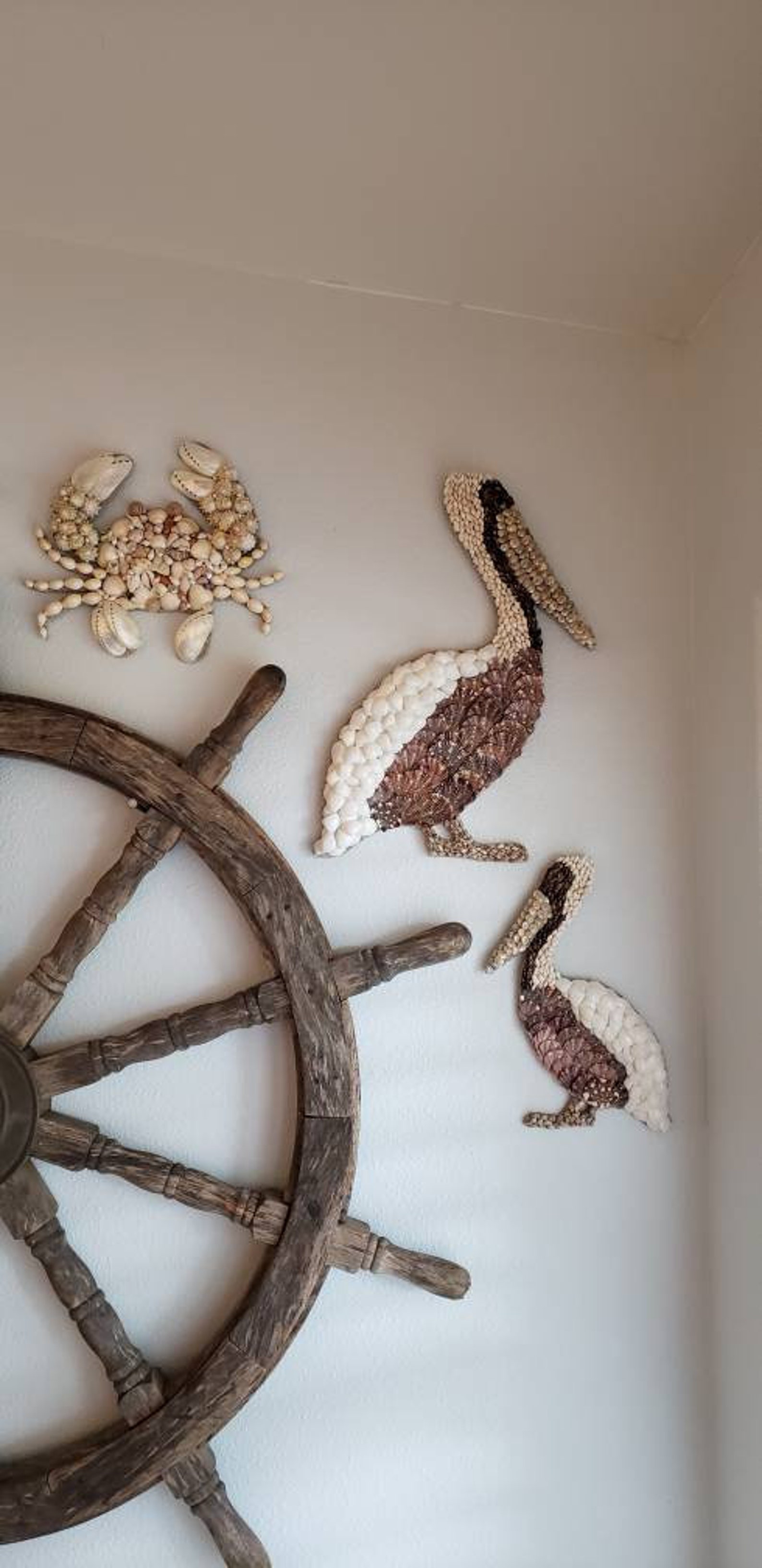 Seashell Pelican Pelican Wall Decor Sea life Decor | Etsy