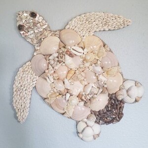 Seashell Turtle Shell Turtle Seashell Wall Decor Beach | Etsy