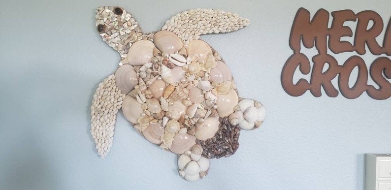 Seashell Turtle Shell Turtle Seashell Wall Decor Beach | Etsy