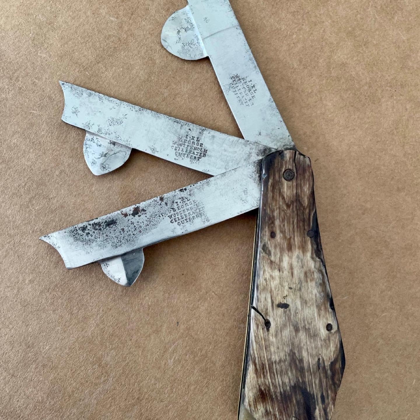 Bleeder in Original Case 19th Century Lancet Fleam Memorabilia Art ...