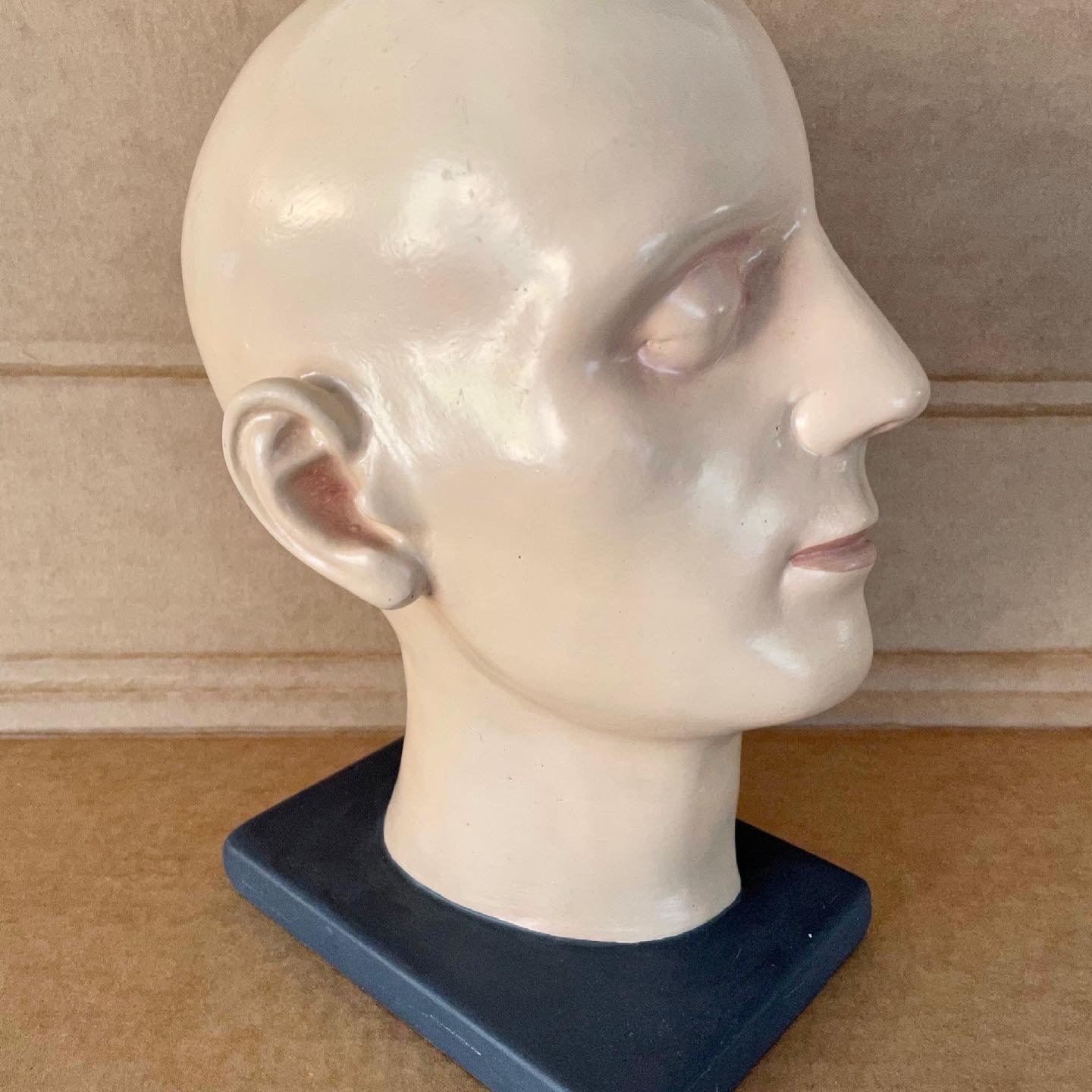 Antique German Dissected Human Head Plaster Anatomical Model | Etsy