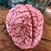 Vintage 6 Piece Medical Model Brain...life Size - Etsy