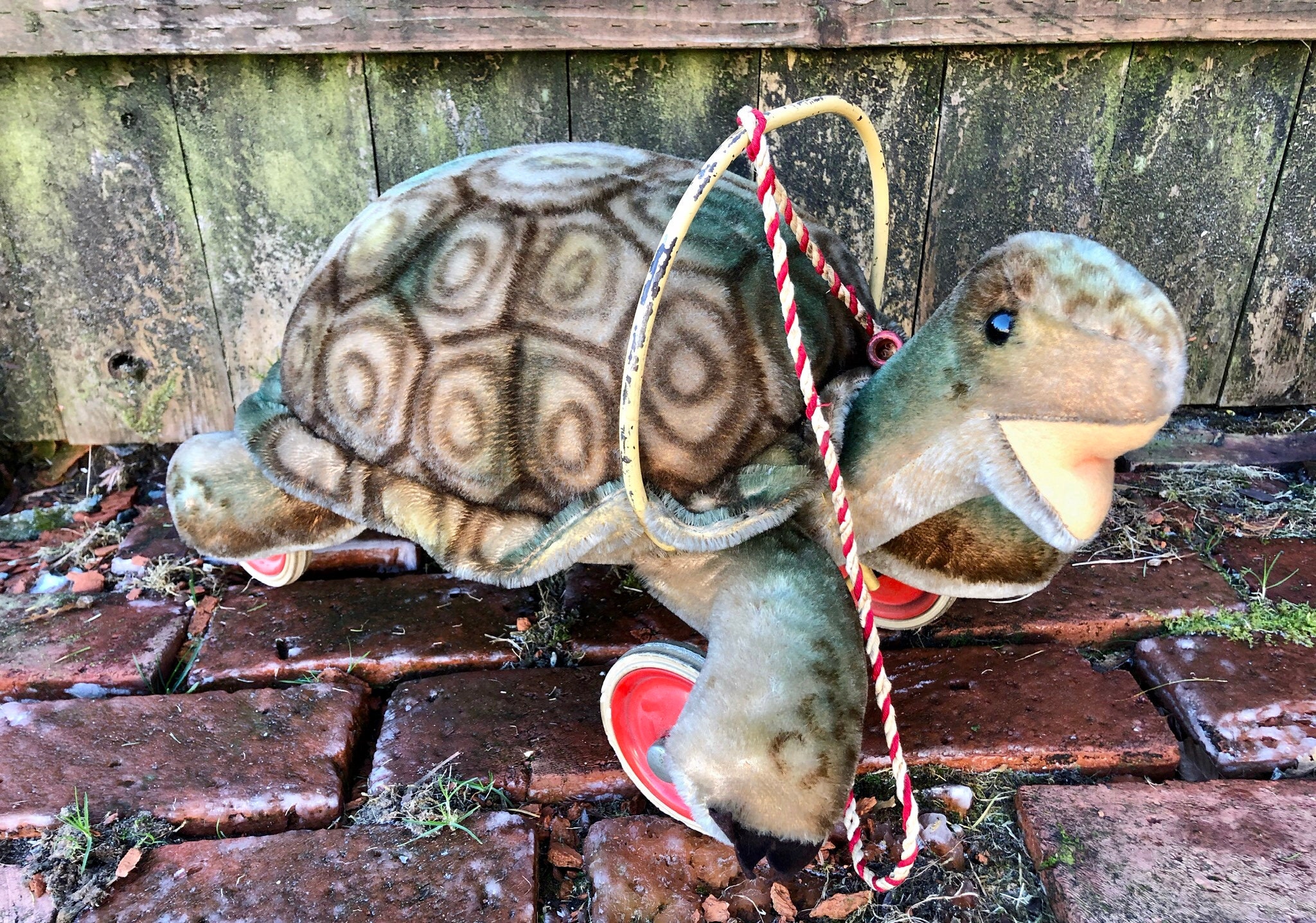 1959 Steiff Ride on Turtle with Original tag and button | Etsy