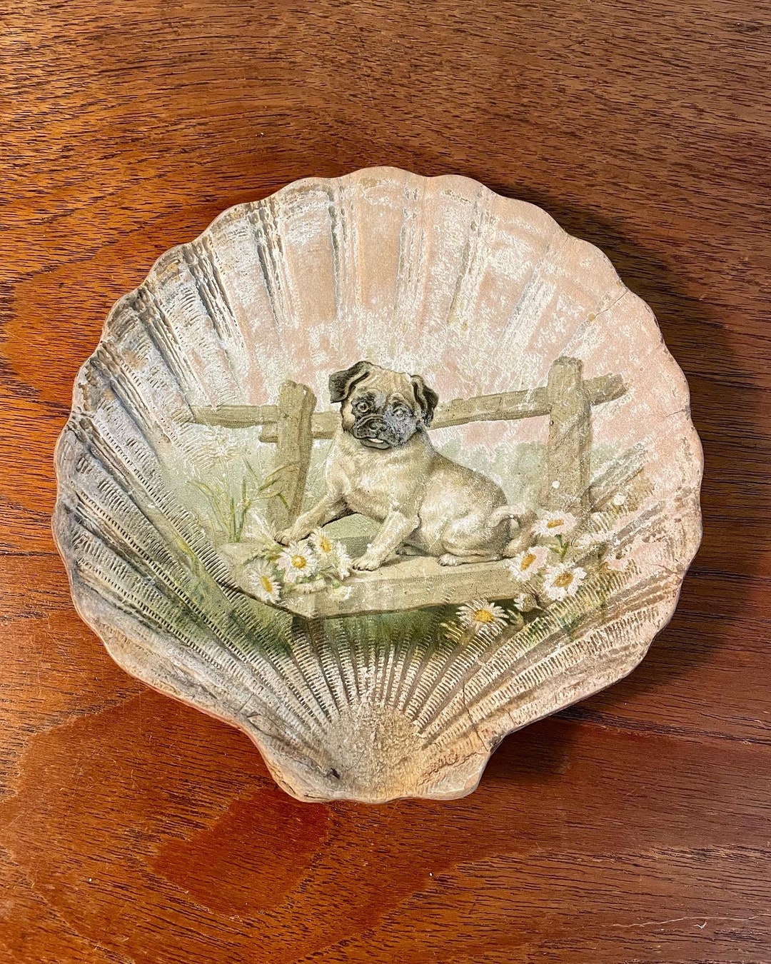 Victoria Papier-mâché Seashell With Pug - Etsy