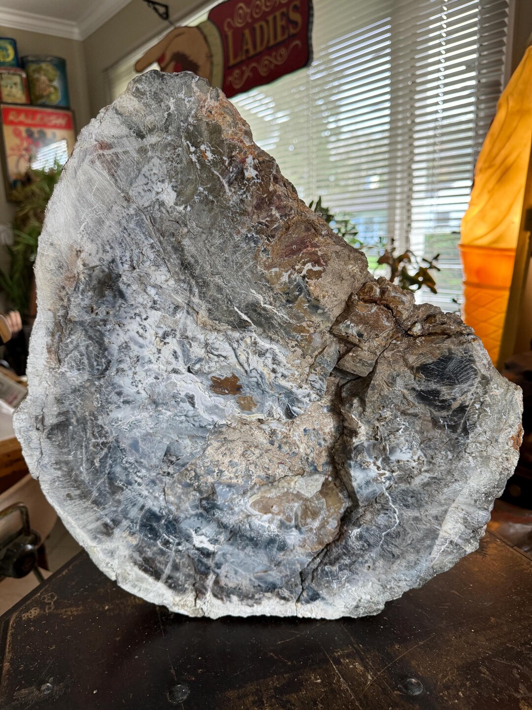 Huge Natural Petrified Wood Tree Trunk Slab, 17” - Etsy