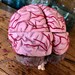 Vintage 6 Piece Medical Model Brain...life Size - Etsy