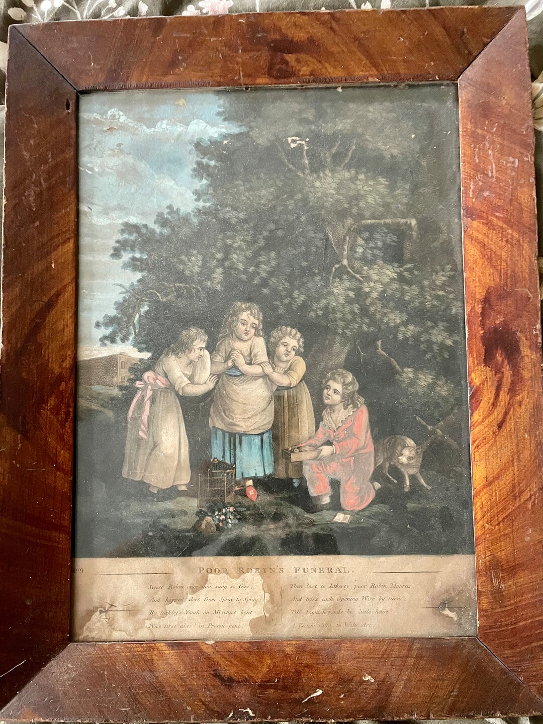 19th Century Poor Robin’s Funeral, Hand Colored Etching in Frame - Etsy
