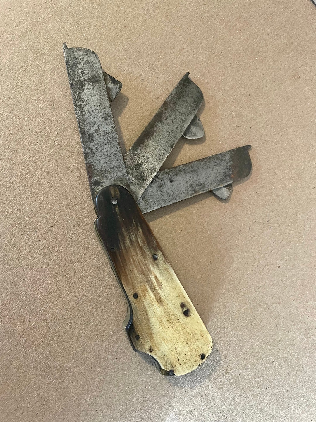 Early 19th Century Surgical Blood Letting Fleam, Horn Handle - Etsy