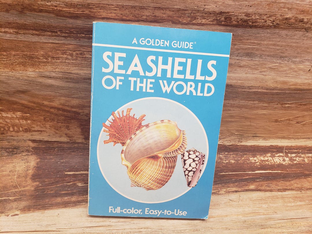 Sea Shells of the World , Golden Guide Book - Etsy