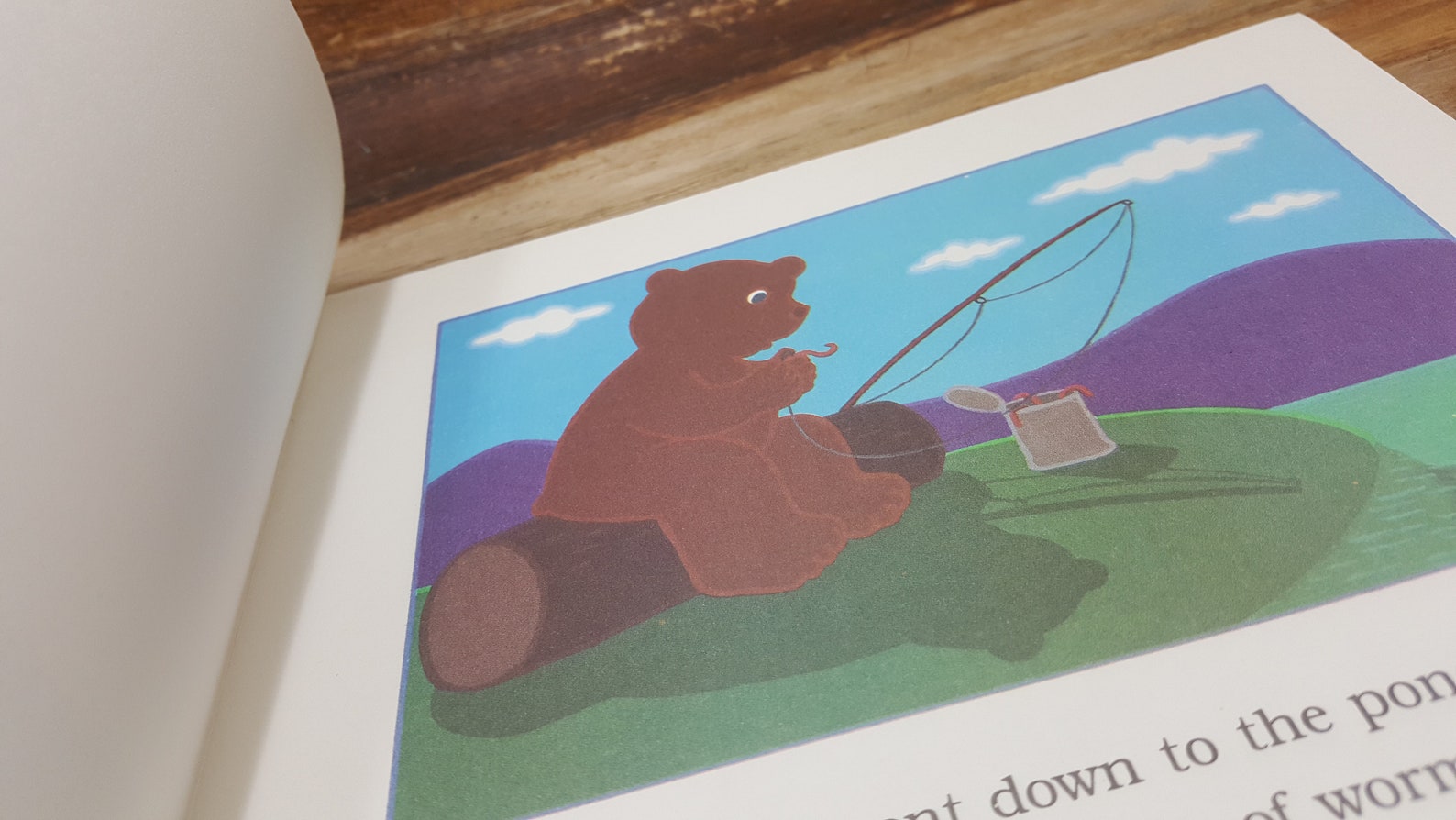 Bear Shadow, 1985, Frank Asch, Vintage Kids Book - Etsy