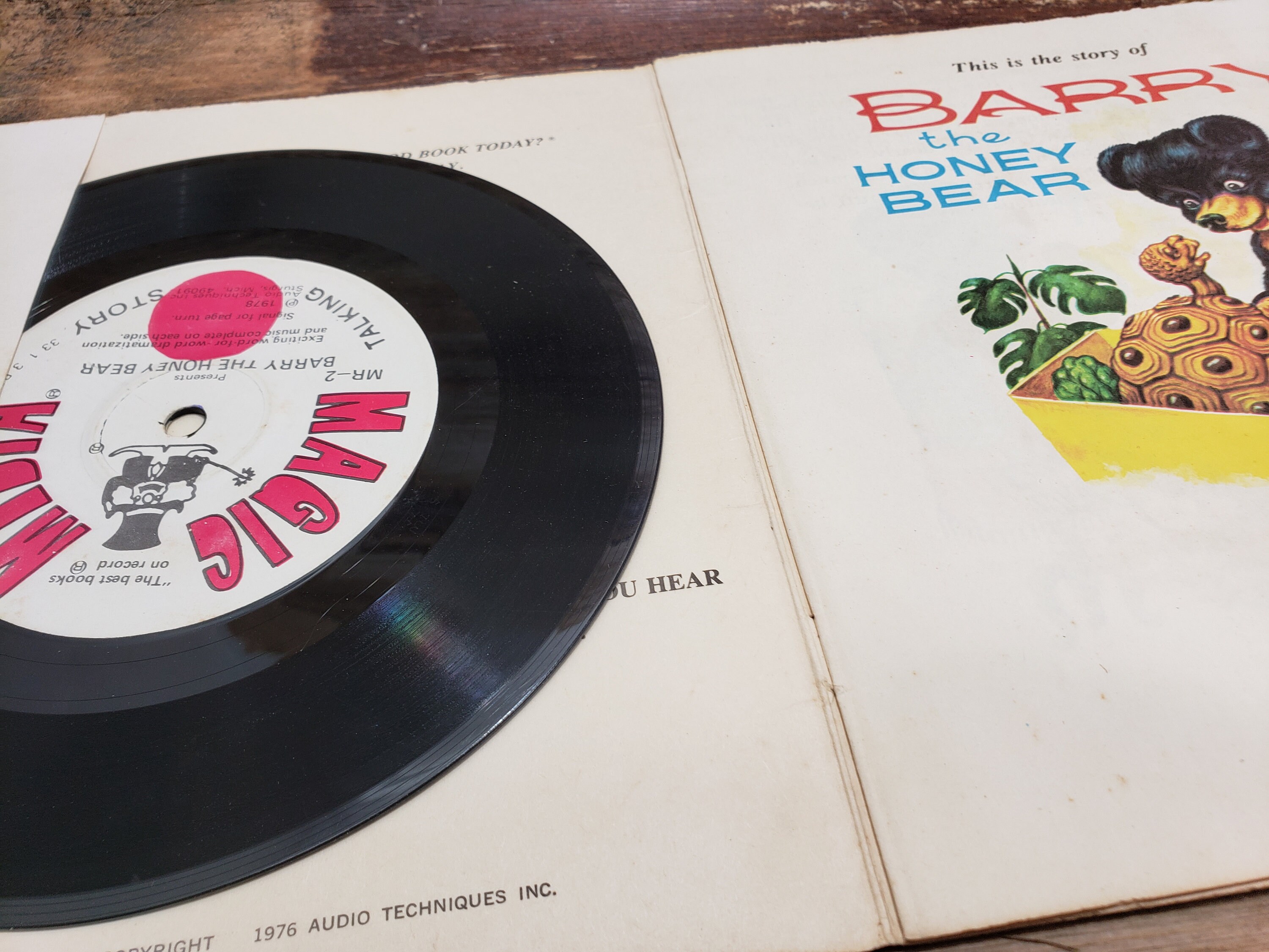 Barry the Honey Bear Talking Story Book and Matching - Etsy