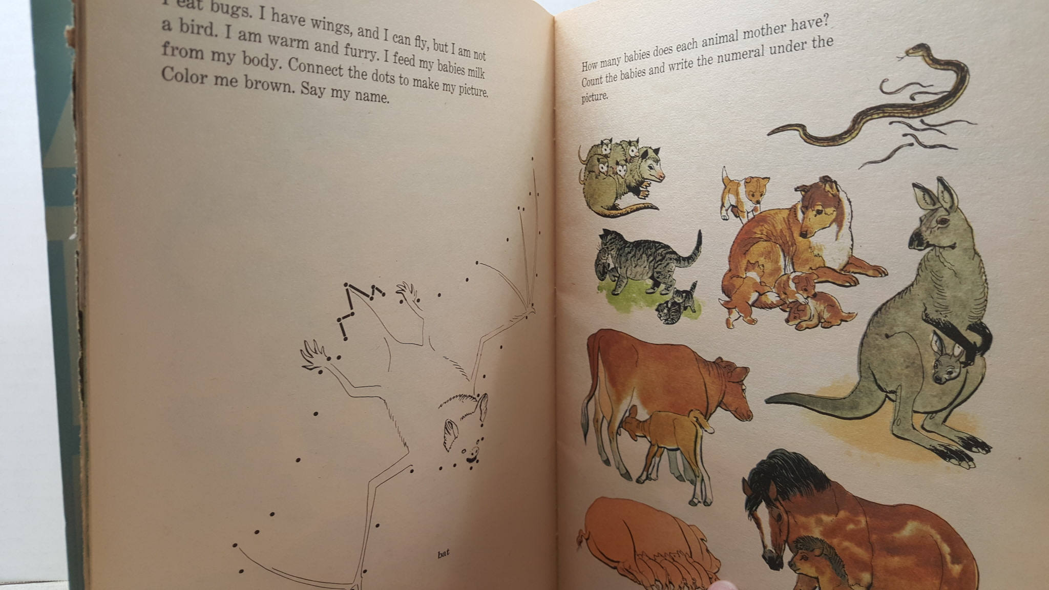 All Kinds of Animals, 1982, A Golden Readiness Workbook K-2, READ ...