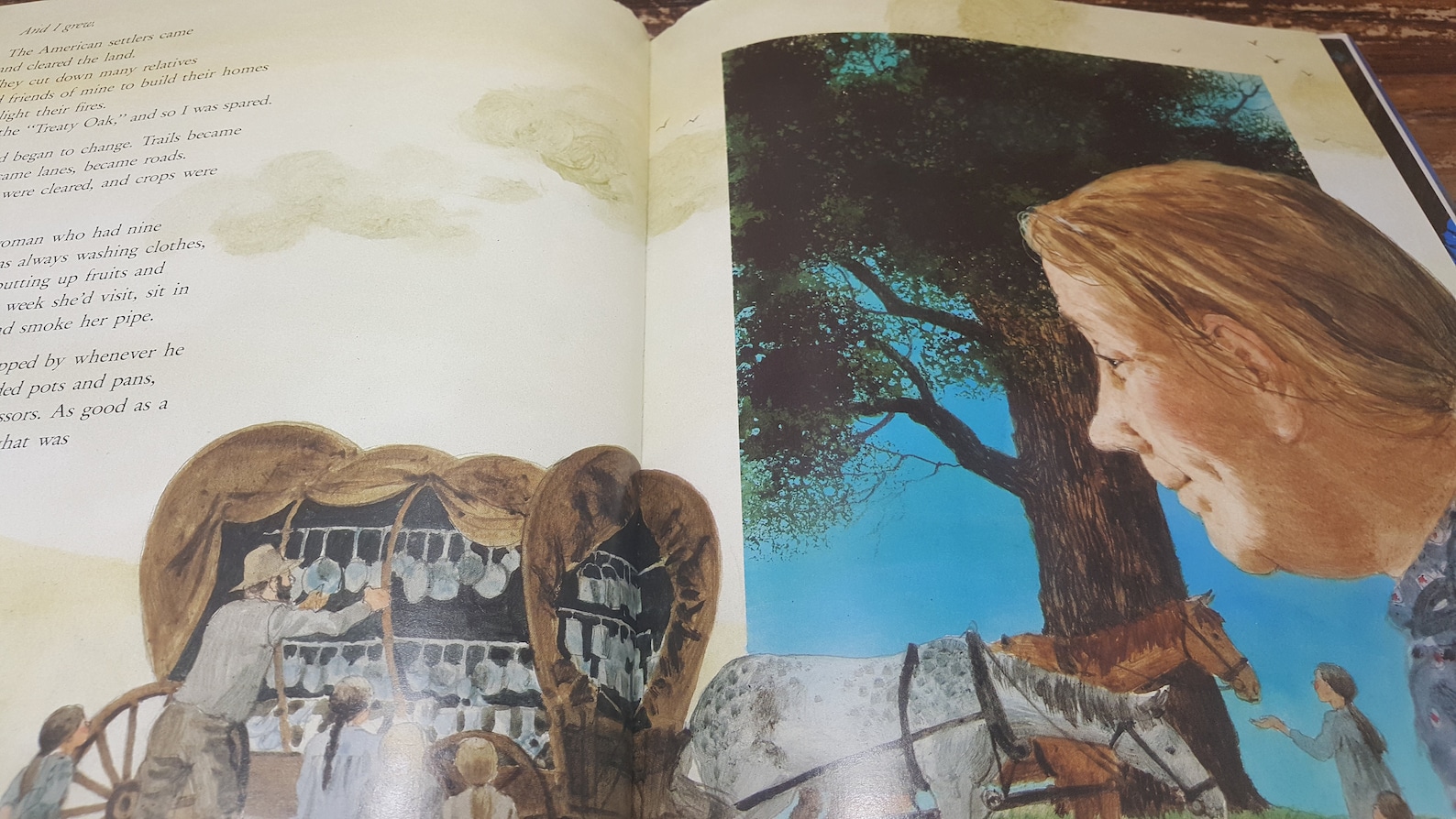 The Tree That Would Not Die, 1995, Ellen Levine, Ted Rand, Vintage Kids ...