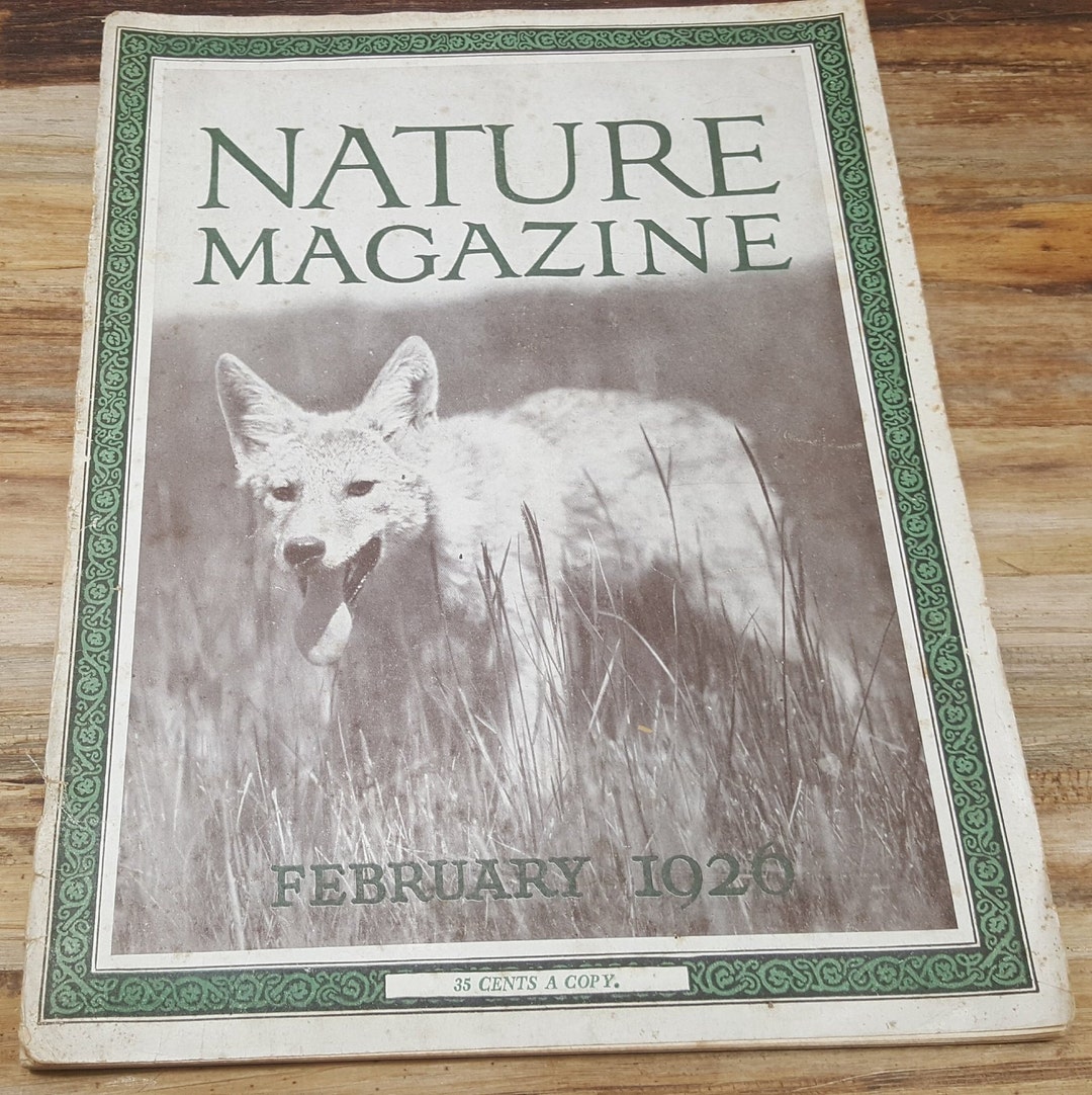 Nature Magazine, February 1926, Vintage Magazine - Etsy
