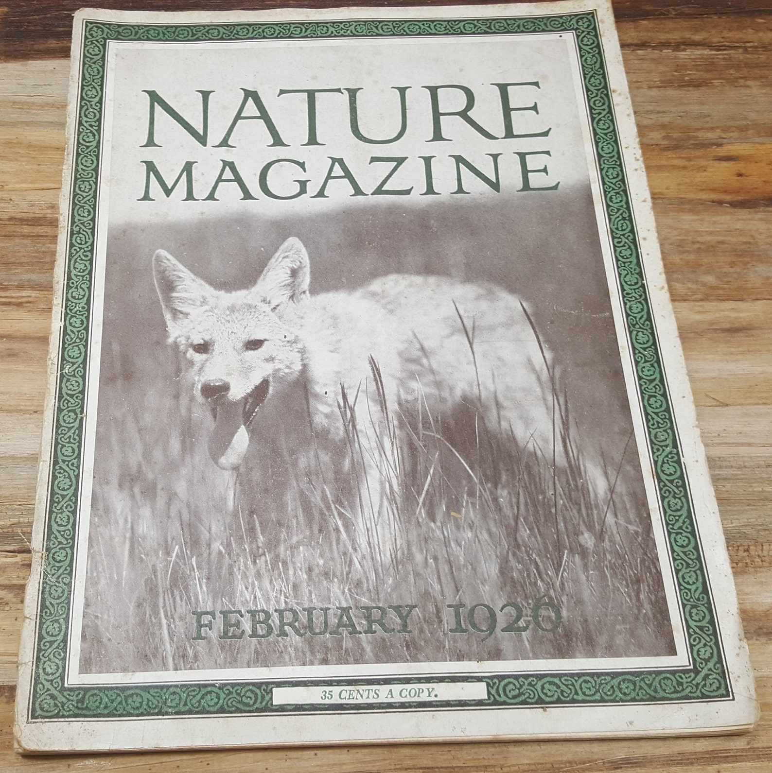 Nature Magazine February 1926 Vintage Magazine - Etsy