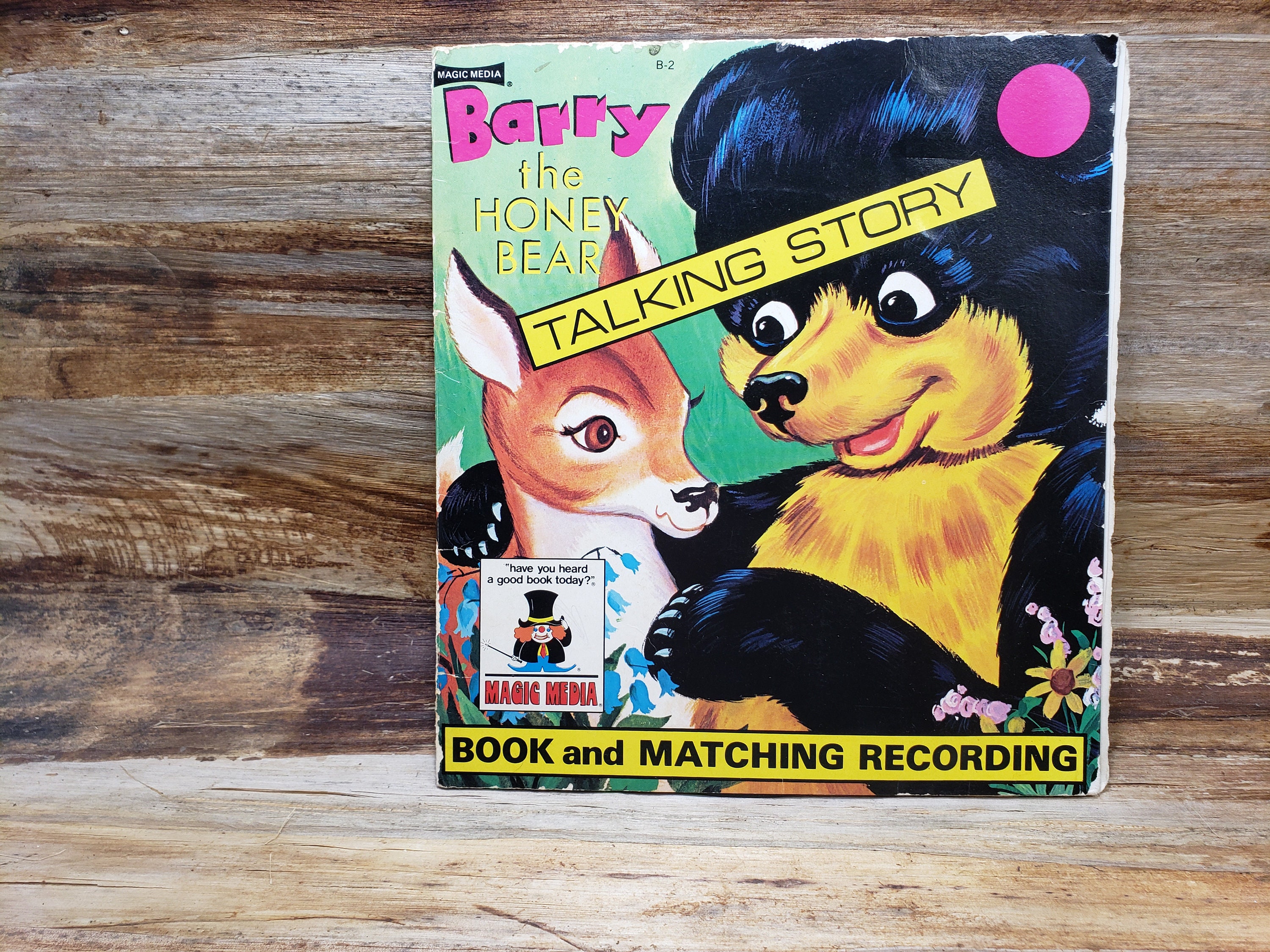 Barry the Honey Bear Talking Story Book and Matching - Etsy