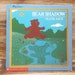 Bear Shadow, 1985, Frank Asch, Vintage Kids Book - Etsy