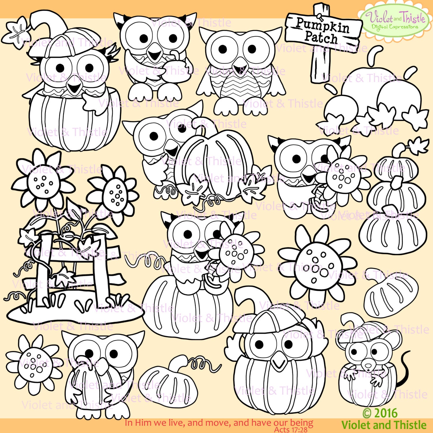 Harvest Owl Clipart Harvest Owl Clip Art Fall Owl Clip Art - Etsy