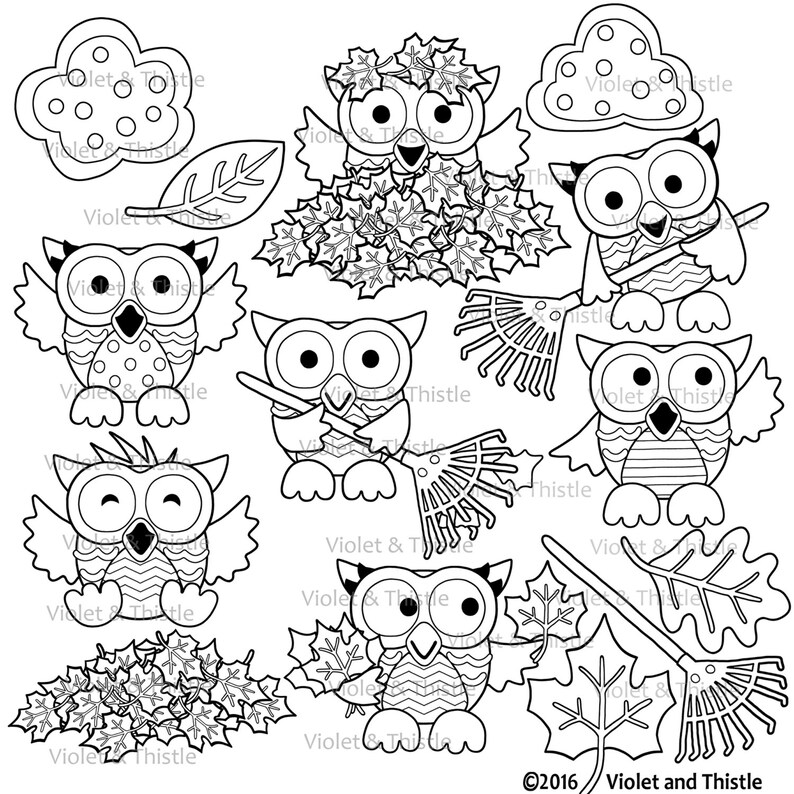 Fall Owl Clipart Clip Art Line Art Fall Owls Bundle Oak Maple Leaves ...