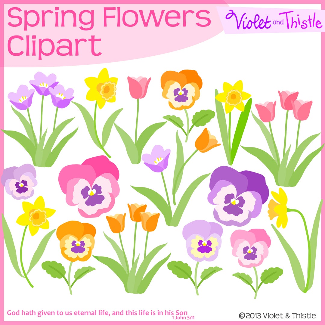 Spring Flower Clipart Set 2 Pansy Daffodil Tulip Clip Art - Etsy