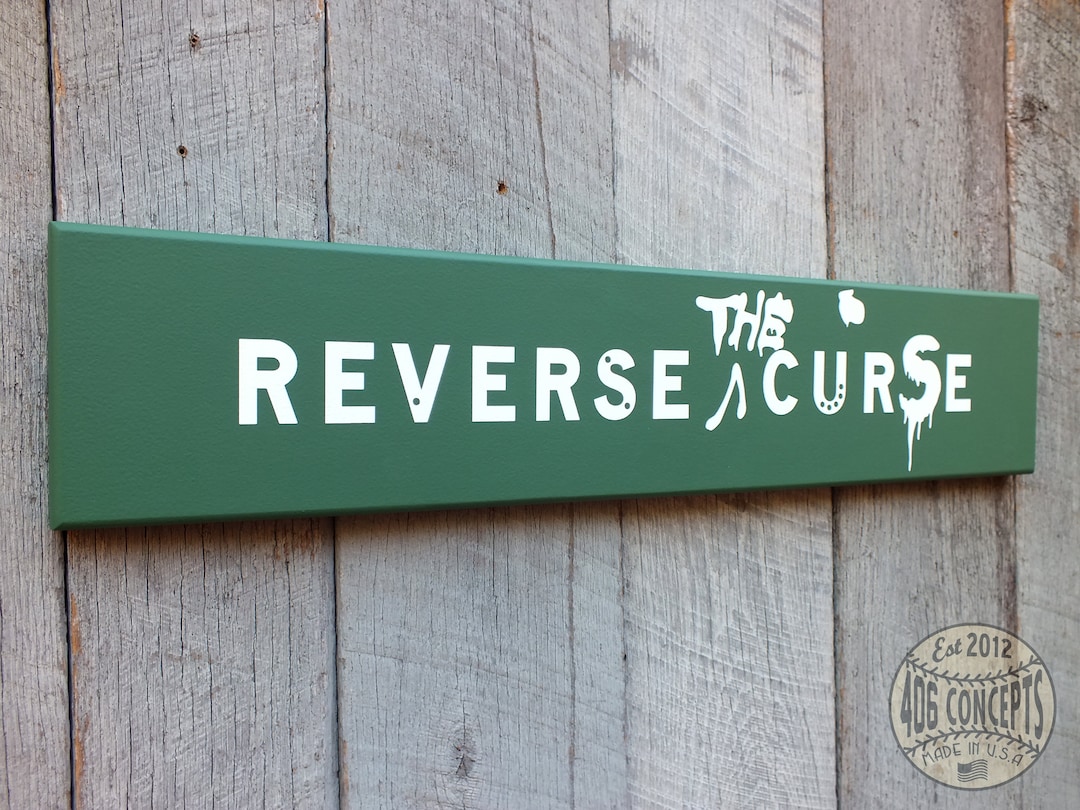36 Painted Reverse the Curse Storrow Drive Sign Boston - Etsy