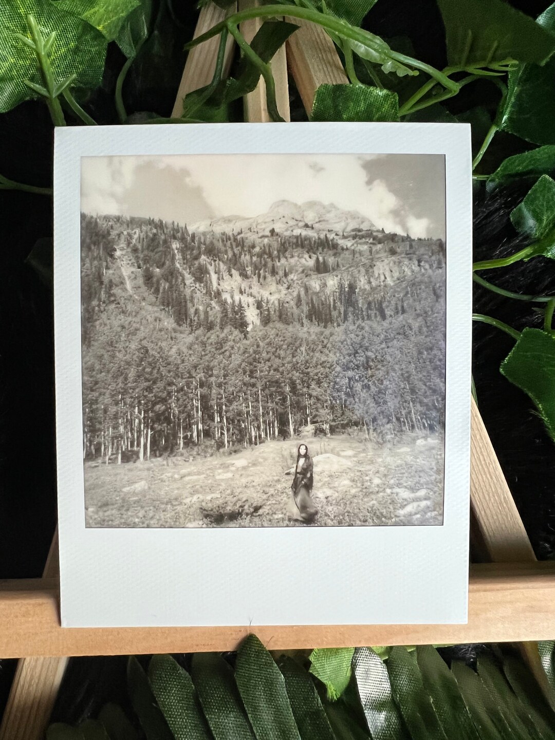San Juan Mountains BW Polaroid Green Dress Series - Etsy