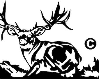 Mule deer decal | Etsy