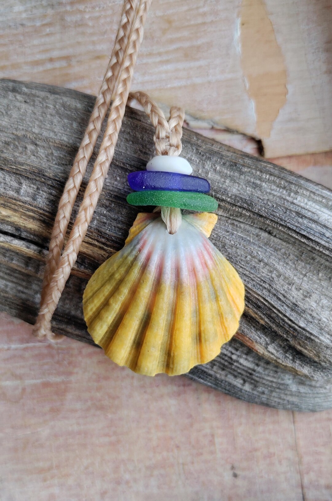 Sunrise Shell Necklace Pecten Langfordi Casual Sinew Braided Surf ...