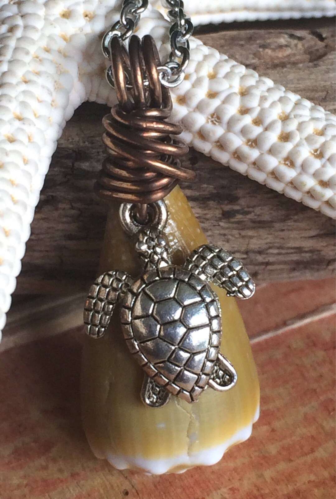 Hawaiian Sea Shell Jewelry Golden Cone Surf Tumbled Genuine - Etsy