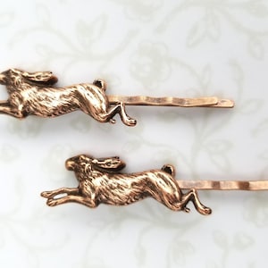 Rabbit Matte Rose Gold Hair Pins, Set of 2, Teacher Gift, Librarian ...