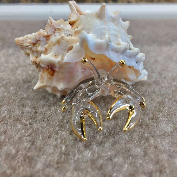 Hermit Crab Shells Glass - Etsy
