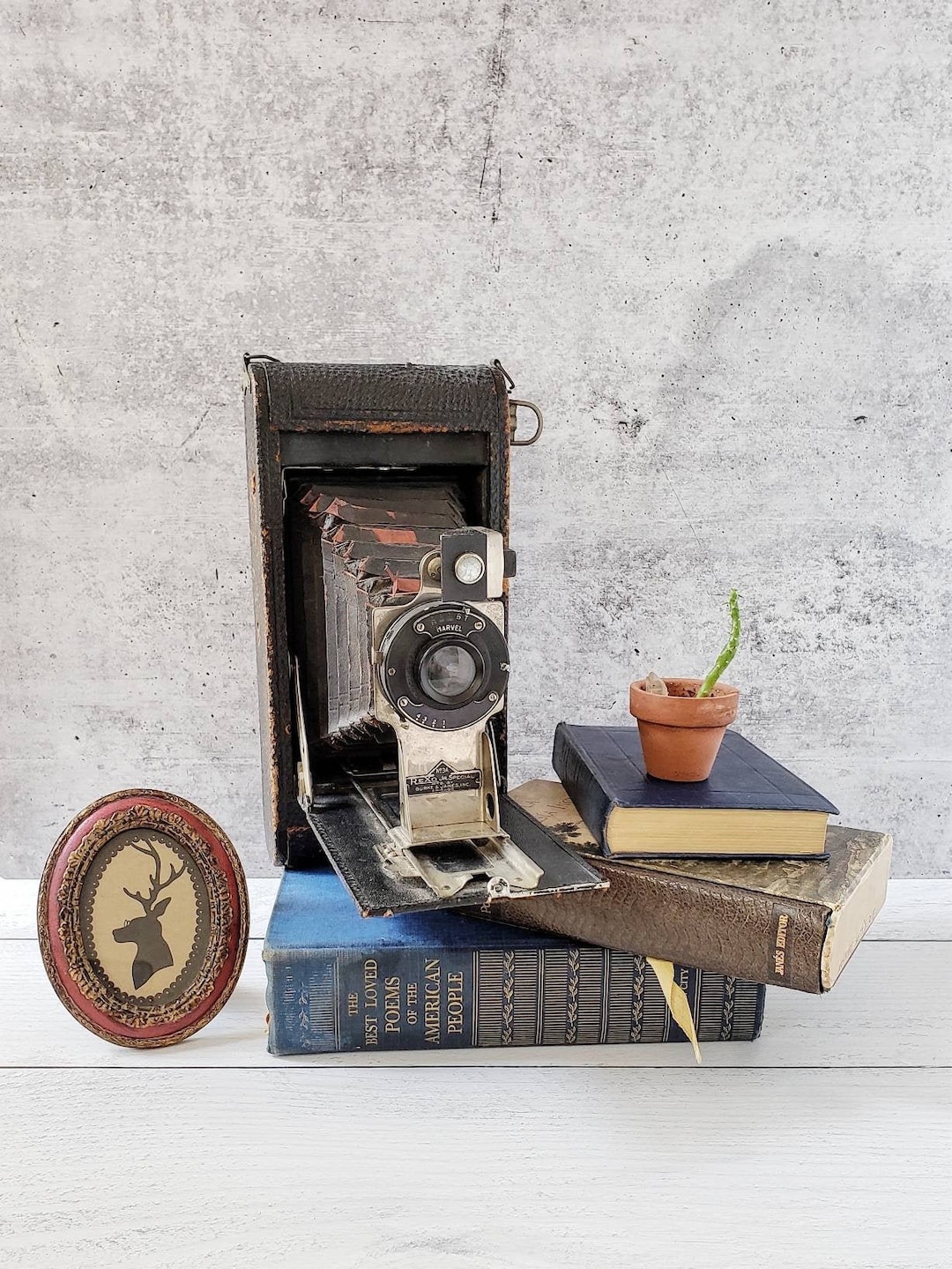 Antique Folding Camera, Burke & James Rexo Junior Special No. 3A ...