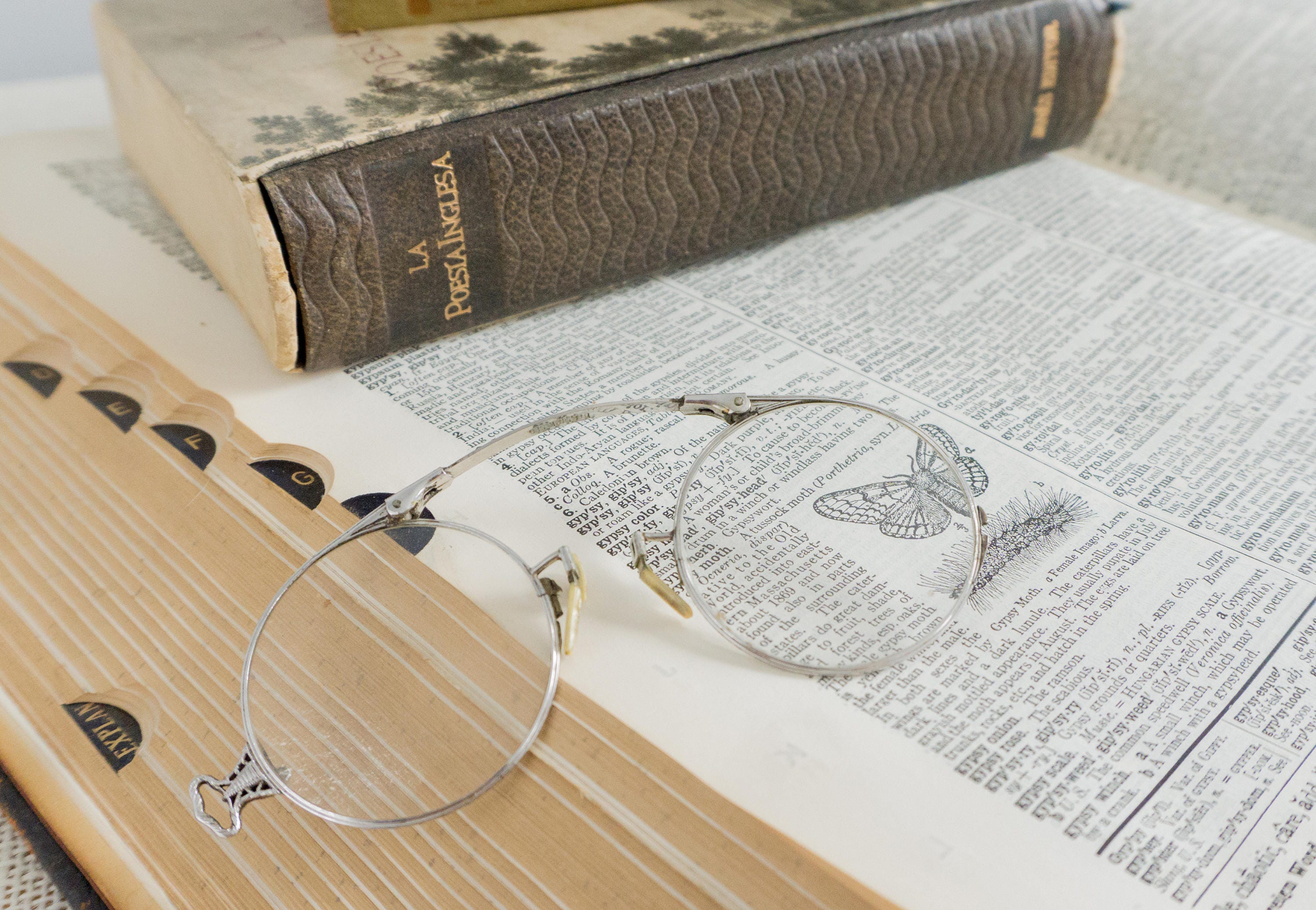 Antique Reading Glasses, 1/10 12K, Vintage Lorgnettes, Antique Pince ...