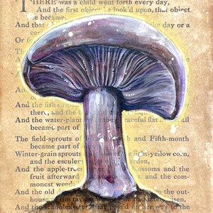 Signed 4x6 Blewit Mushroom Art Painting Print - Etsy