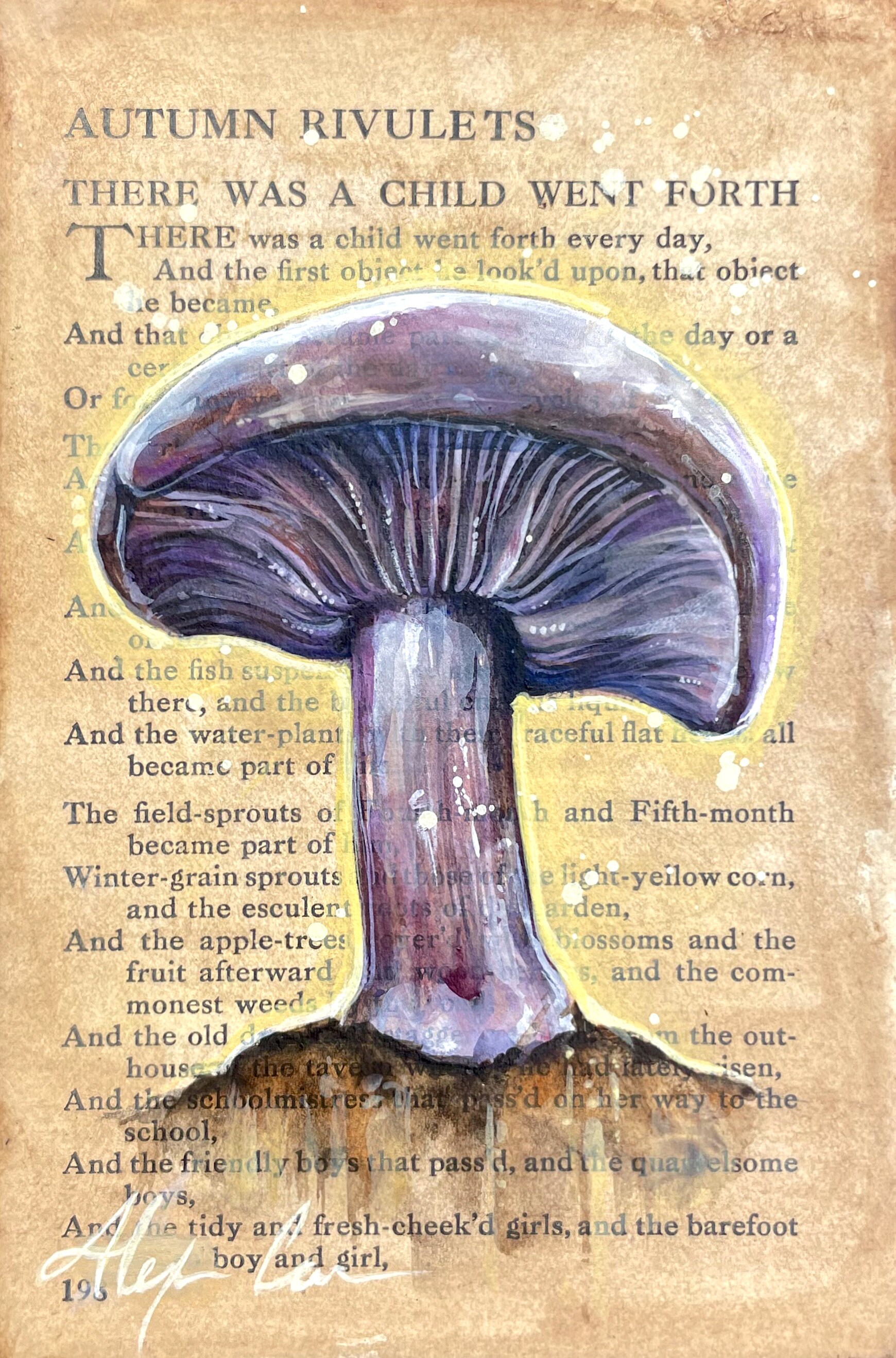 Shop — Alexa Carson