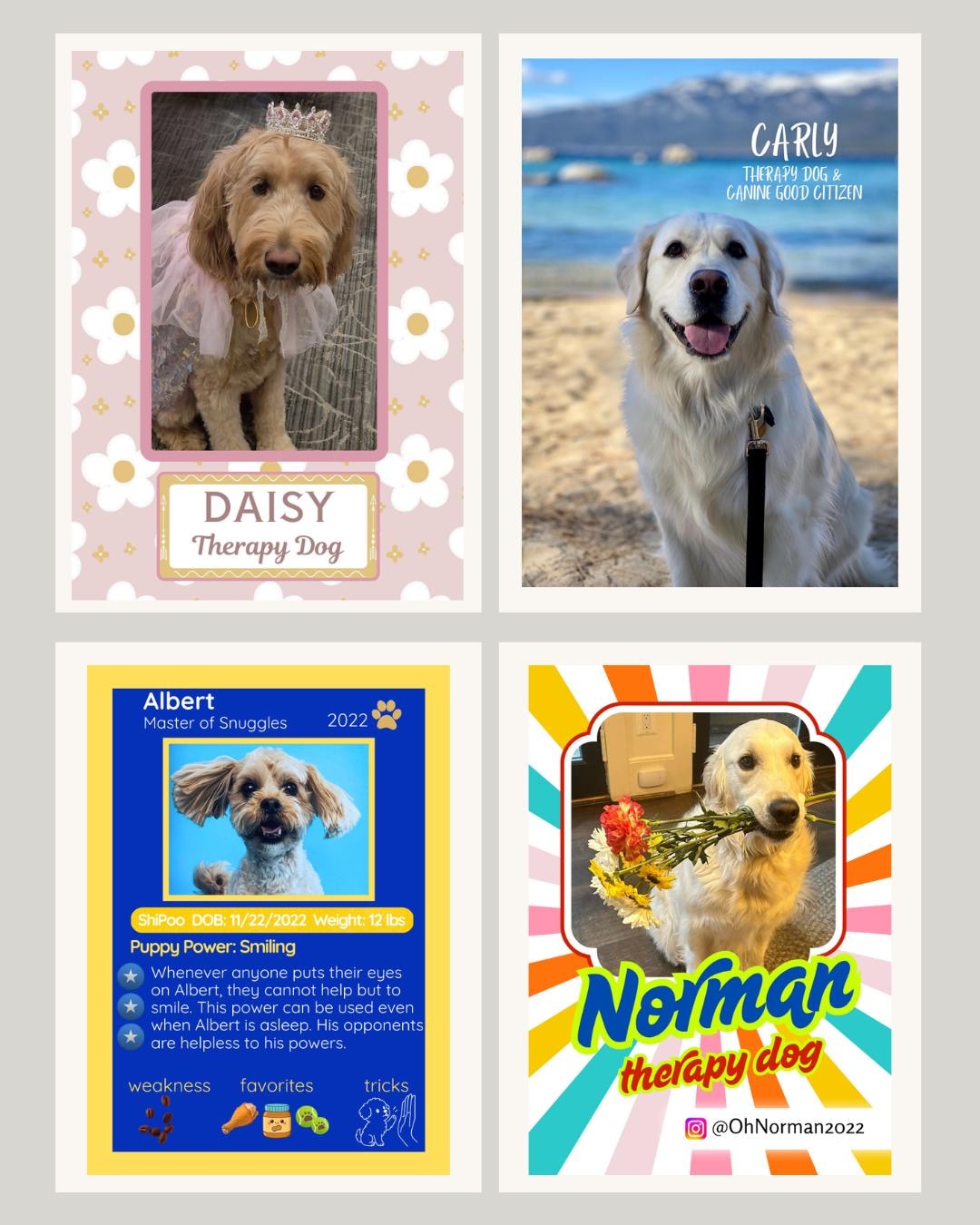 Therapy Dog Trading Cards - Etsy