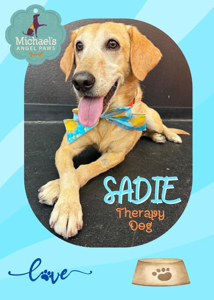 Therapy Dog Trading Cards - Etsy