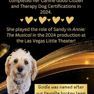Therapy Dog Trading Cards - Etsy